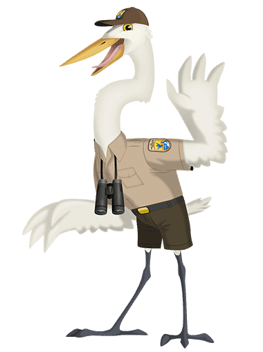 Bay Area Explorer - Agents of Discovery