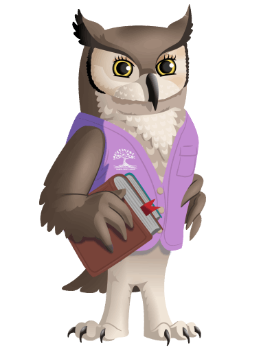 Bay Area Explorer - Agents of Discovery