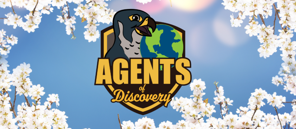 The Support Kit - Agents of Discovery