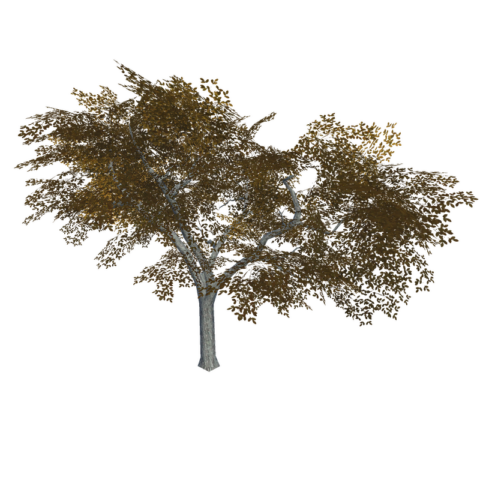 Making a Mission - Agents of Discovery